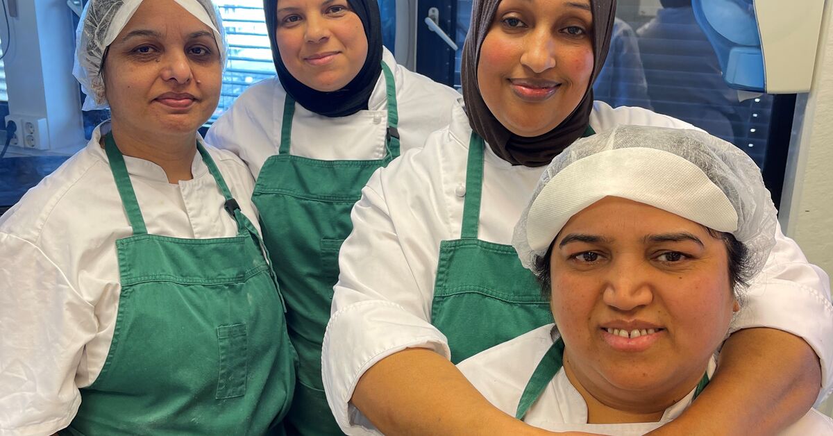 Vegetar Expressen - Delprogram sysselsetting - Oslo kommune