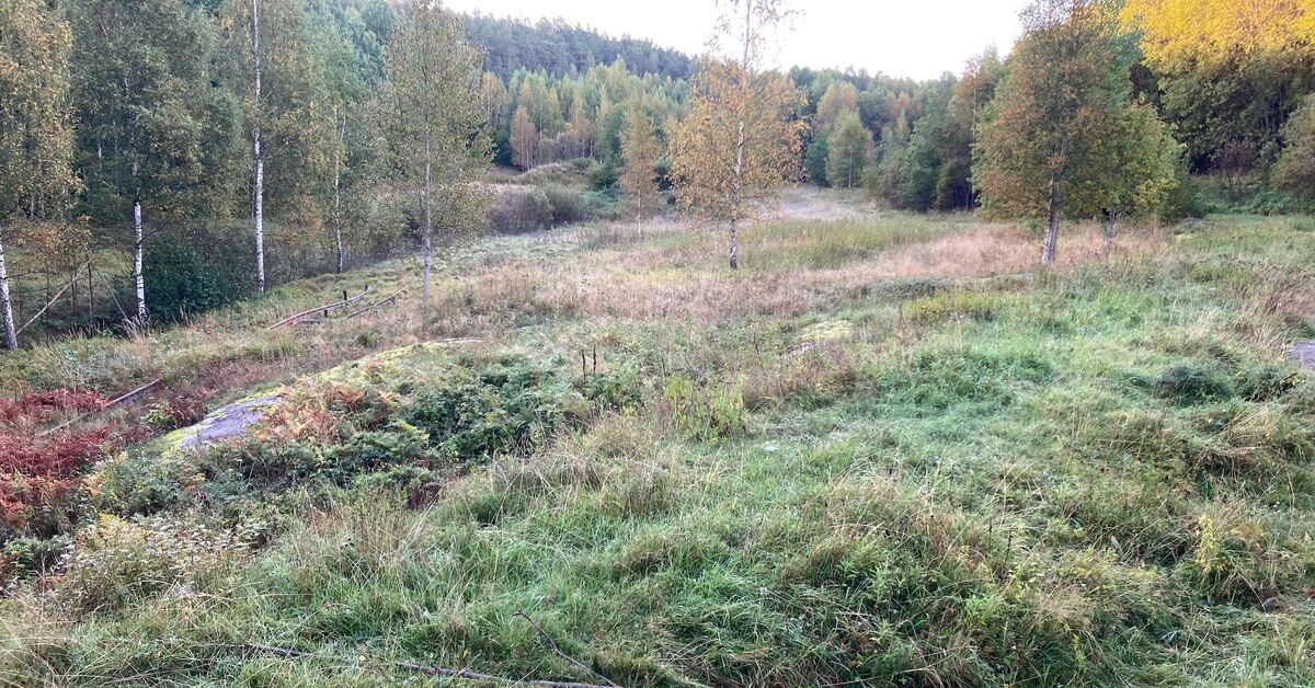 Rester av miljøgifter på den gamle skytebanen på Prinsdal - Slik bygger ...